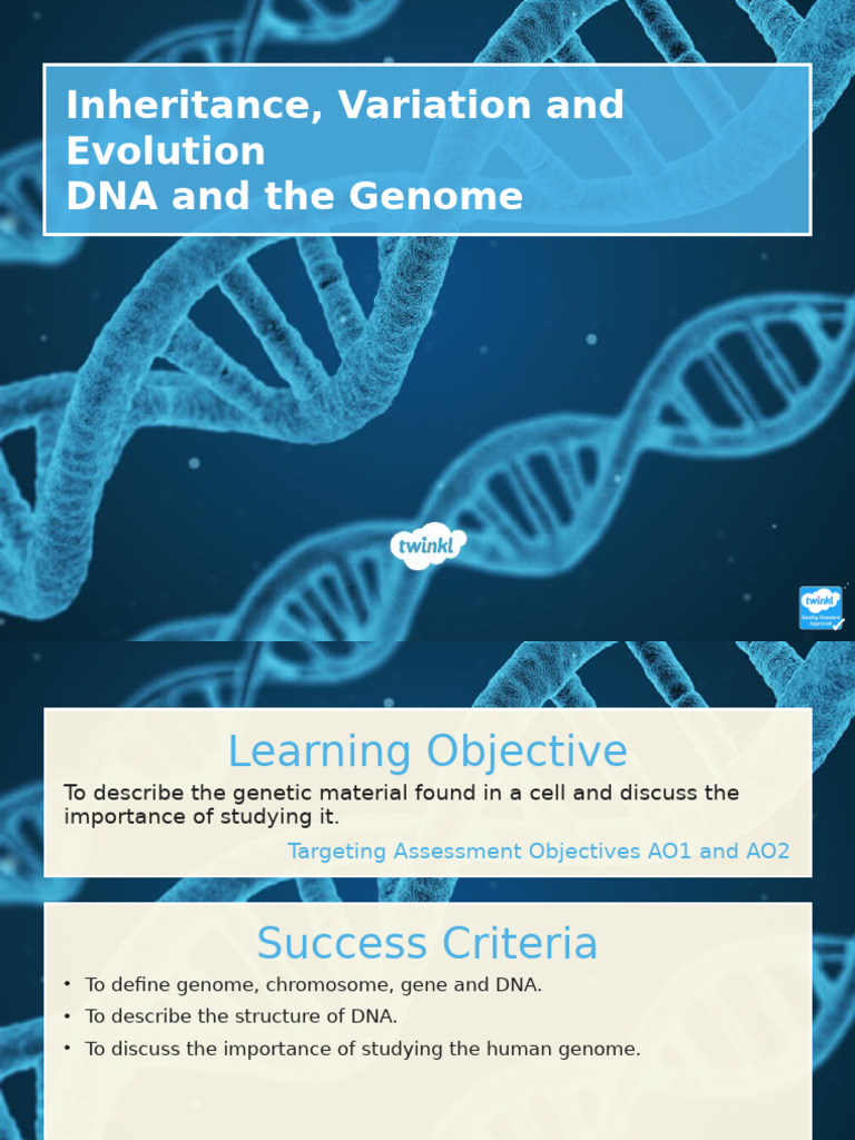 DNA and the Genome Lesson Presentation | PDF | Dna | Gene
