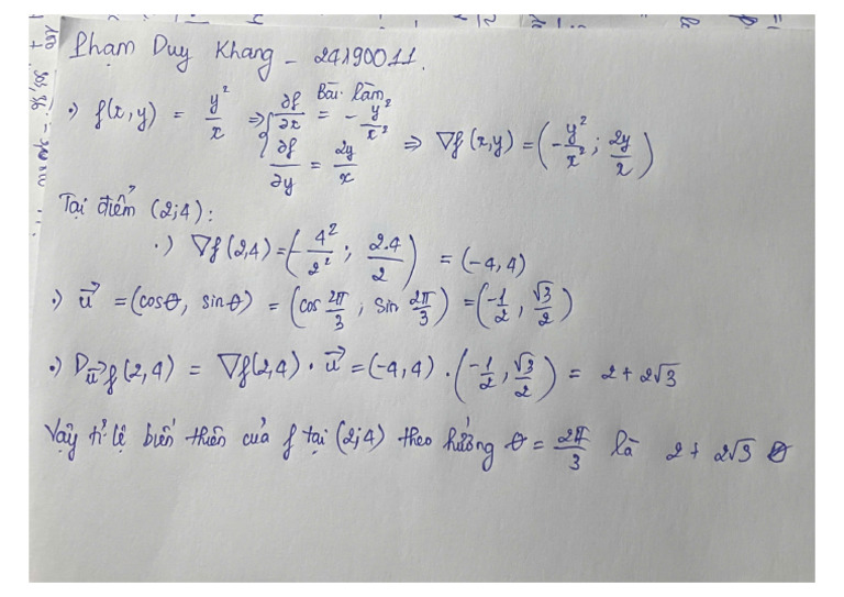 PH M Duy Khang - 24190011 | PDF