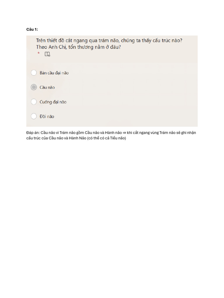 iRAT Ngày 1 - 11-8-2024 | PDF