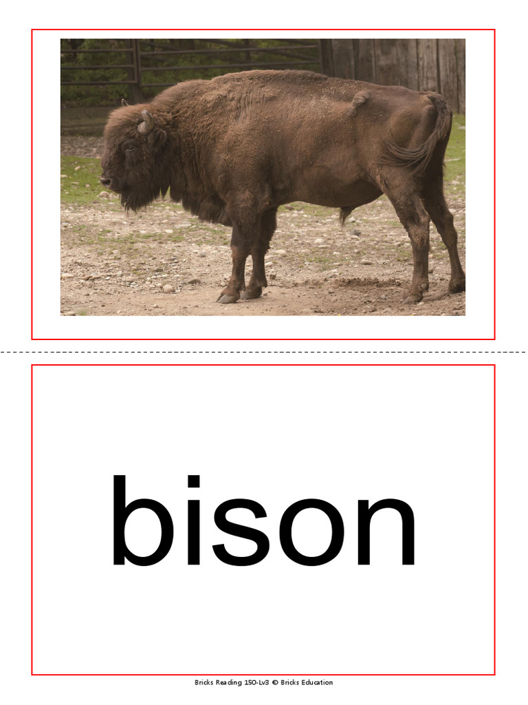 Bricks Reading 150 - L3 - Flashcard - Unit 06 | PDF