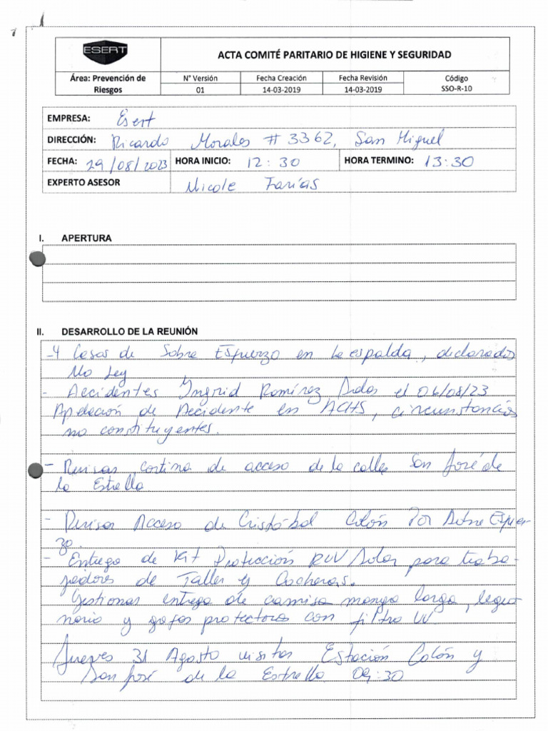 Acta Comite Paritario | PDF