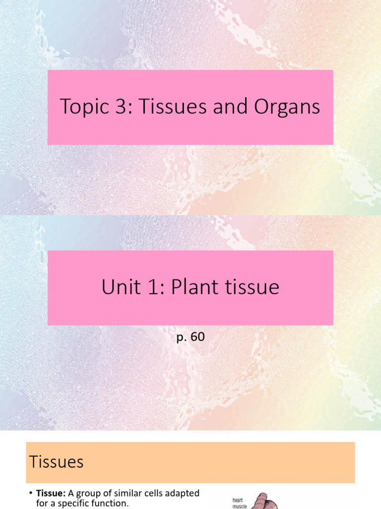 Understanding Plant Tissues in Biology | PDF | Epithelium | Tissue ...