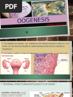 Oogenesis PPT-1 | PDF | Meiosis | Ovary