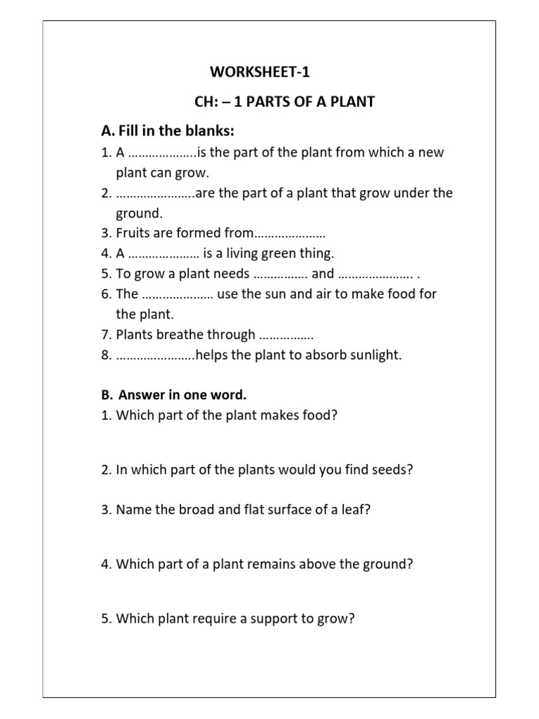 Class 3 Science Worsheet CH-1 | PDF