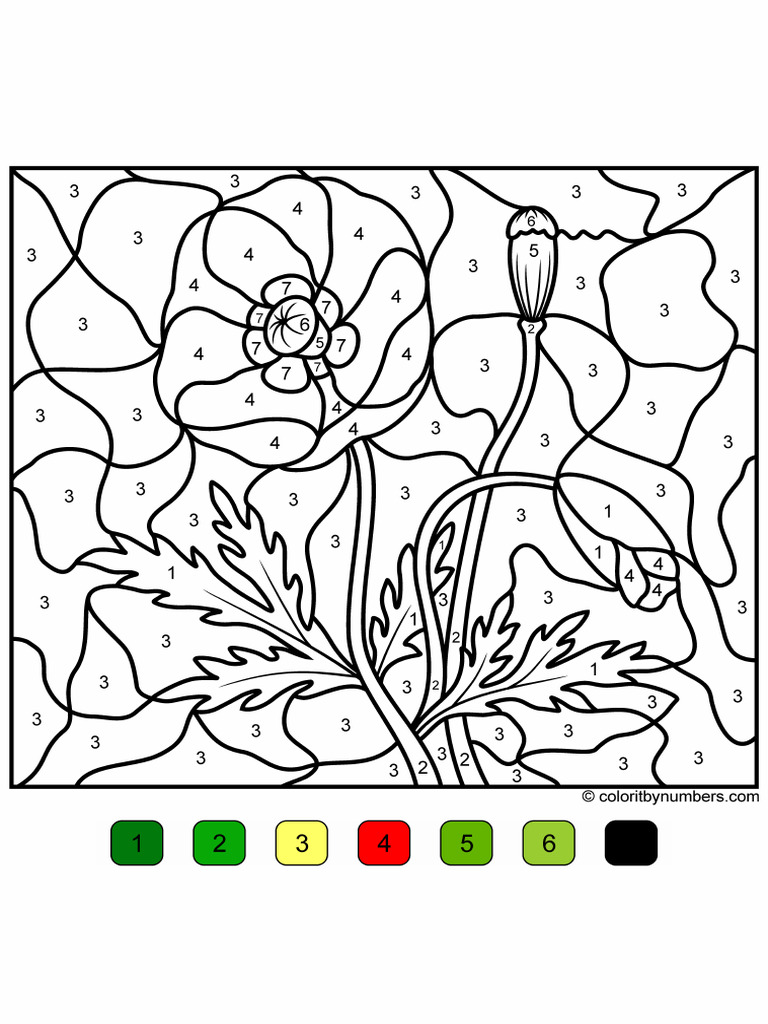 Poppy | PDF