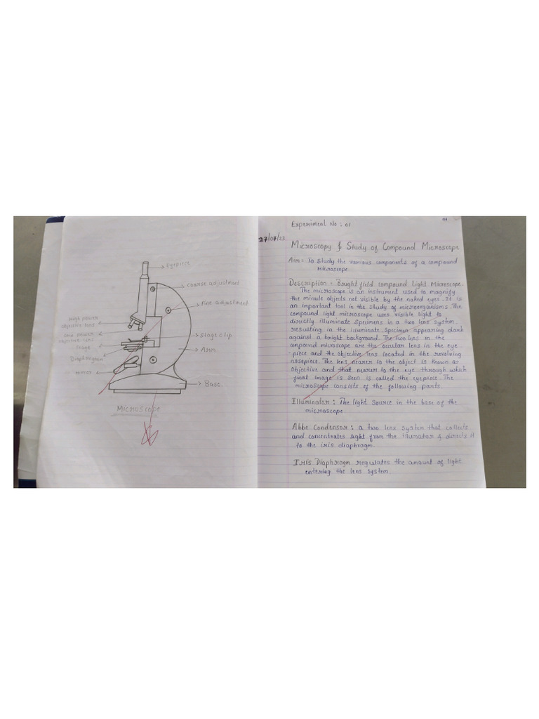 Microbiology Practical | PDF