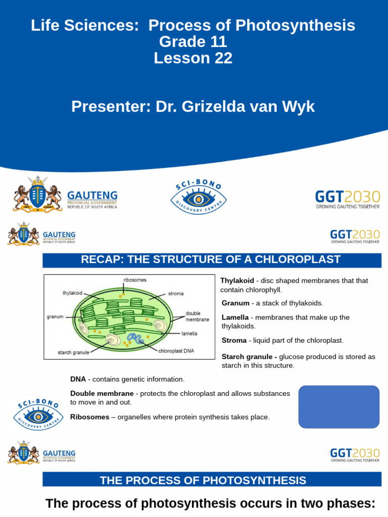 Life Sciences Gr.11 Lesson 22 Photosynthesis Process | PDF ...