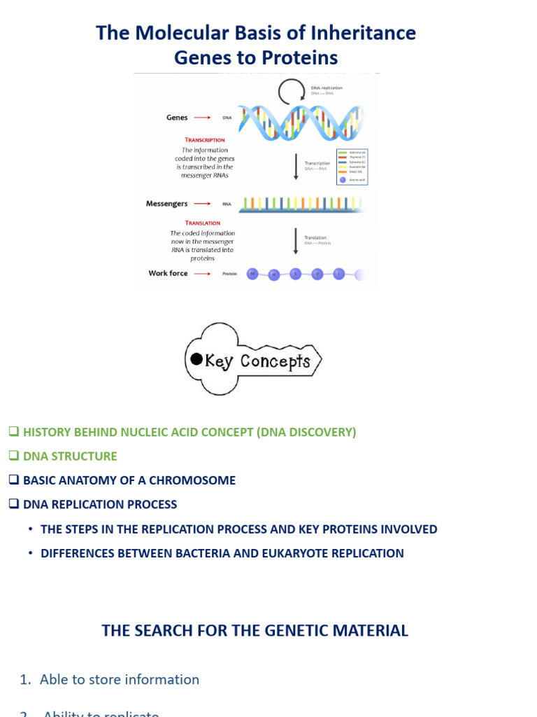 Introduction To Genes To Proteins | PDF | Dna | Nucleic Acids