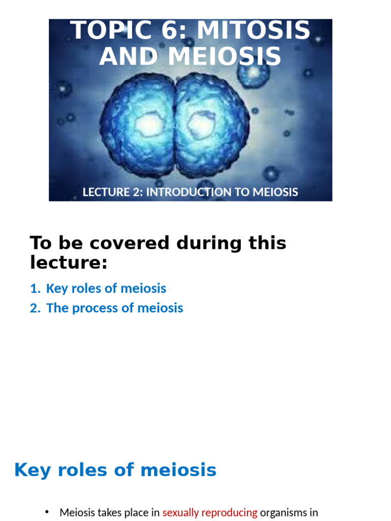 2025 BIOL101P1 Lecture 2 - Introduction to Meiosis | PDF | Meiosis | Ploidy