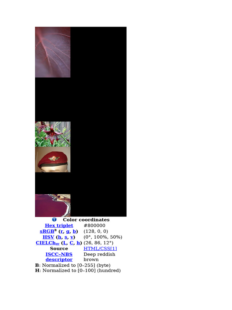 Understanding Maroon Color Etymology | PDF | Rainbow | Image Processing