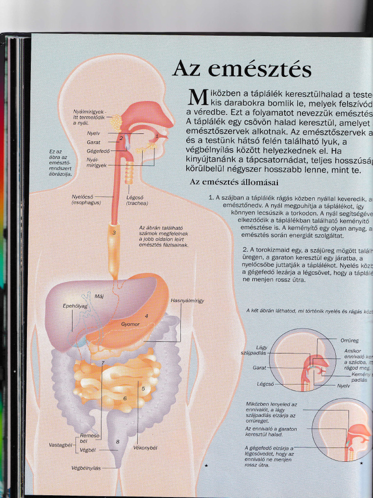 Tudás Könyve - 20240504 - 0001 | PDF
