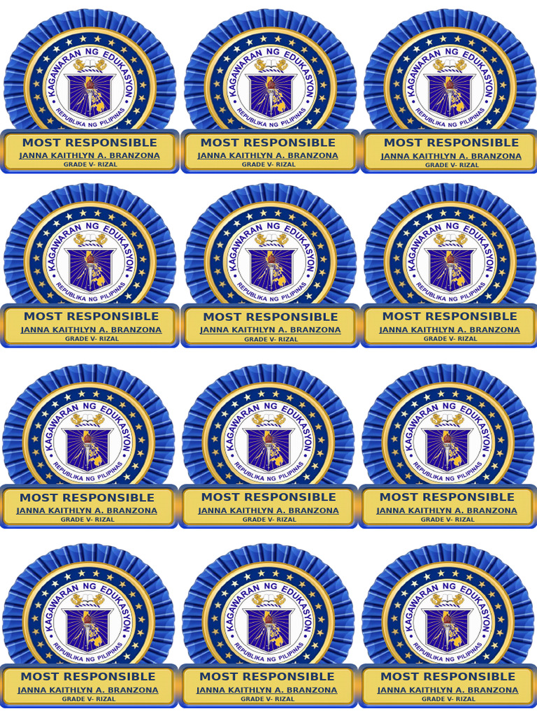 Sces Ribbon 2024 2025 | PDF