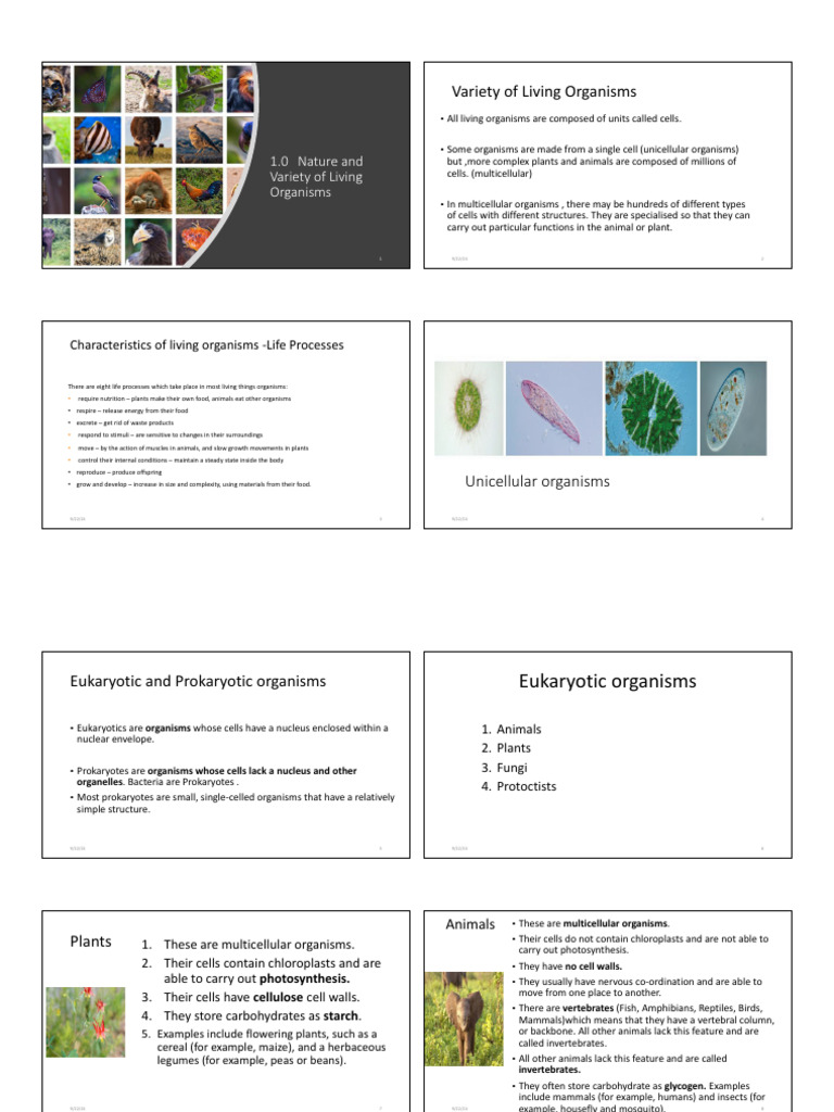 1.0 Nature and Variety of Living Organisms | PDF | Cell (Biology ...