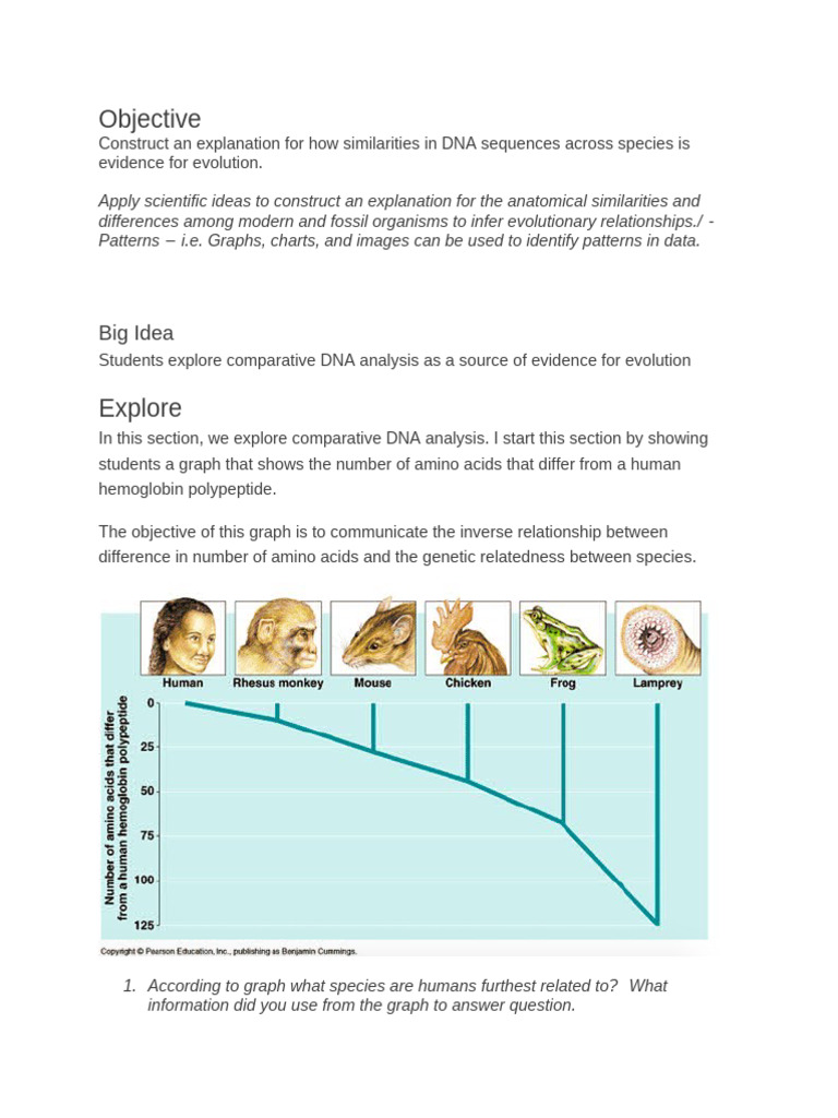 DNA Evidence for Evolutionary Relationships | PDF | Nucleic Acid ...