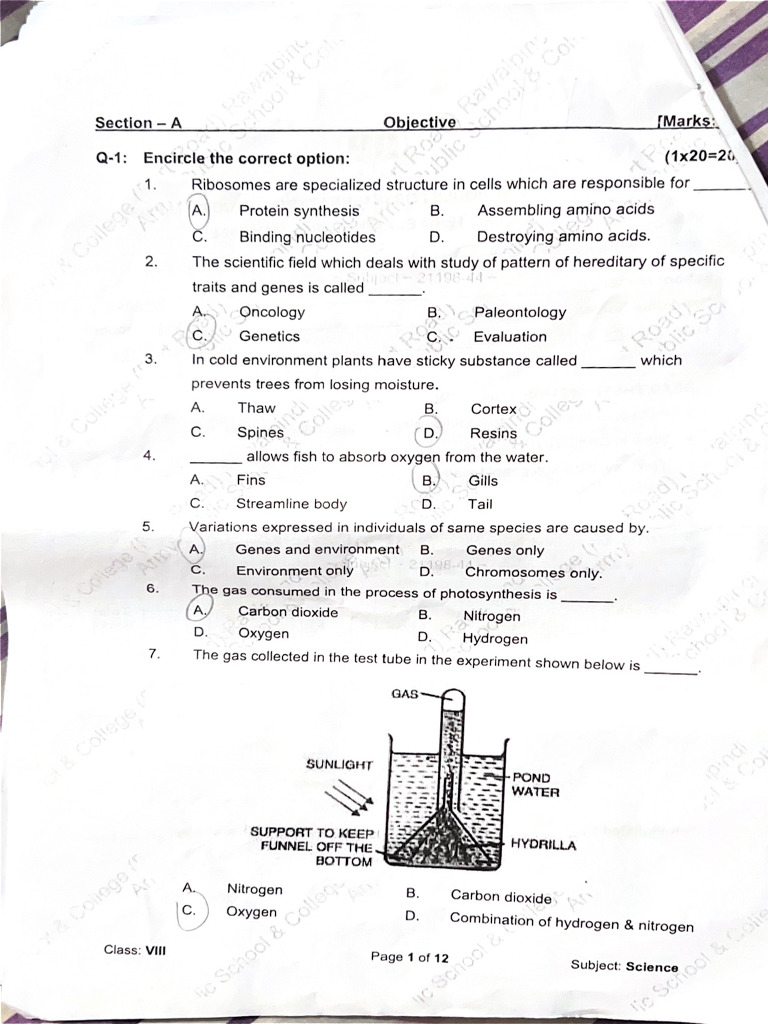 Practice Worksheet | PDF