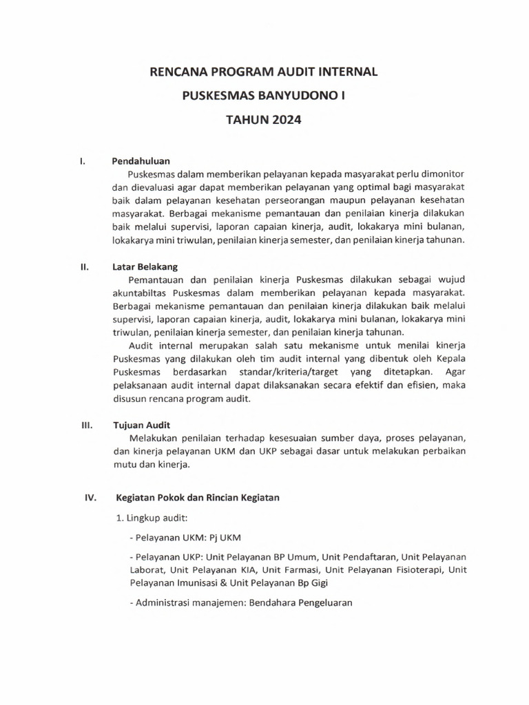 Audit Internal TW 2 | PDF
