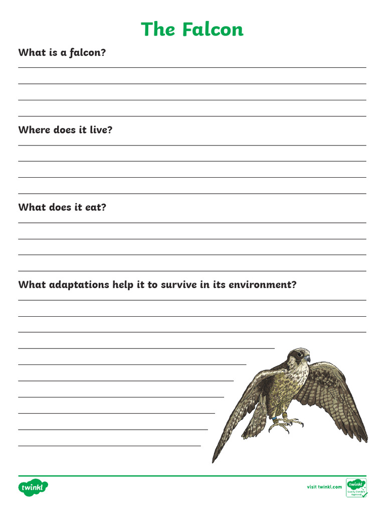 falcon-information-text-writing- | PDF