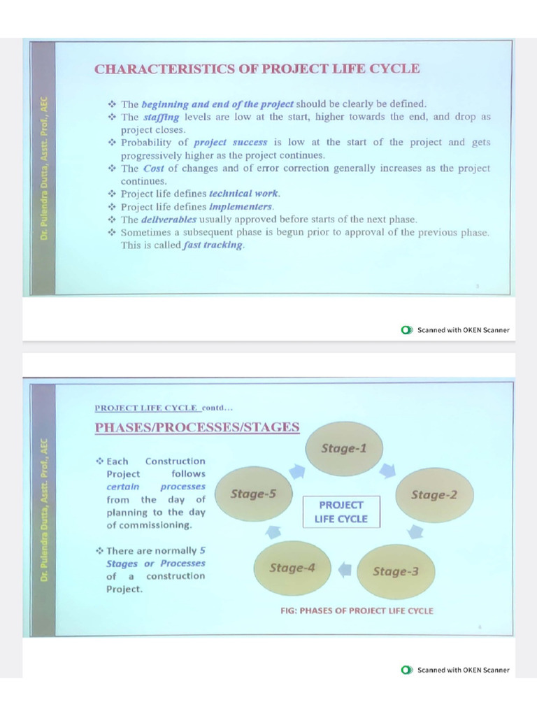 Project Life Cycle | PDF