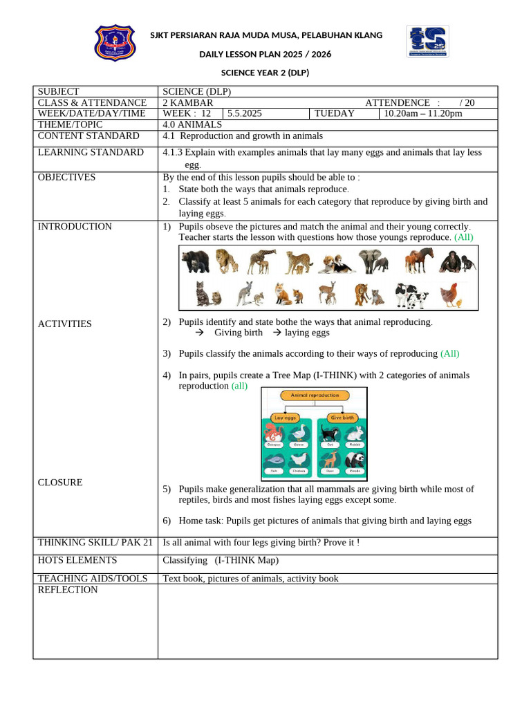 RPH Science DLP Year 2 Week 11 | PDF