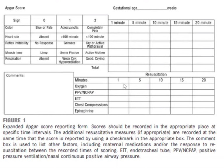 Expanded APGAR Scoring | PDF