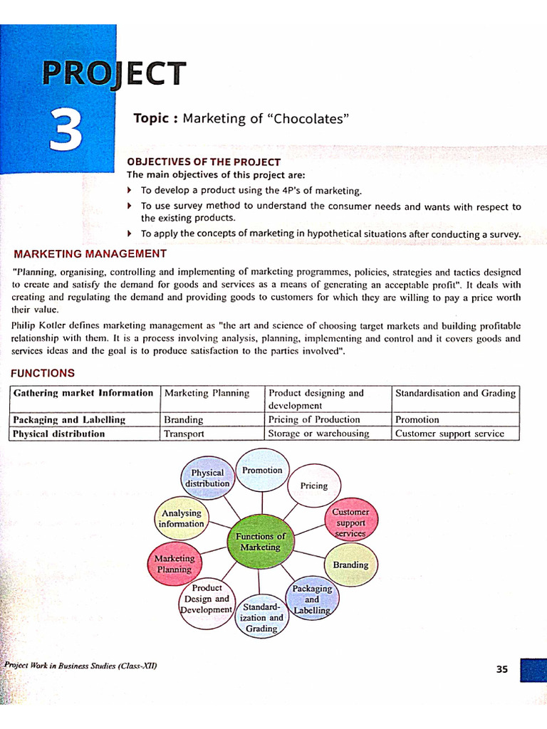 Business Project Demo | PDF