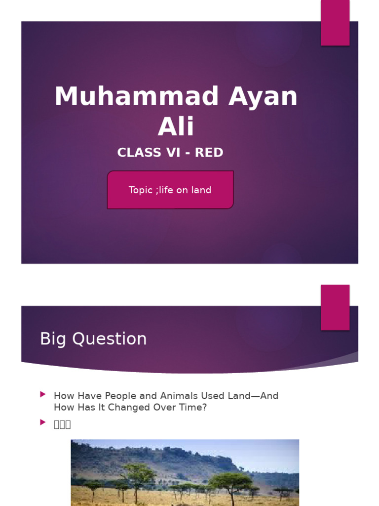 Life On Land Presentation | PDF