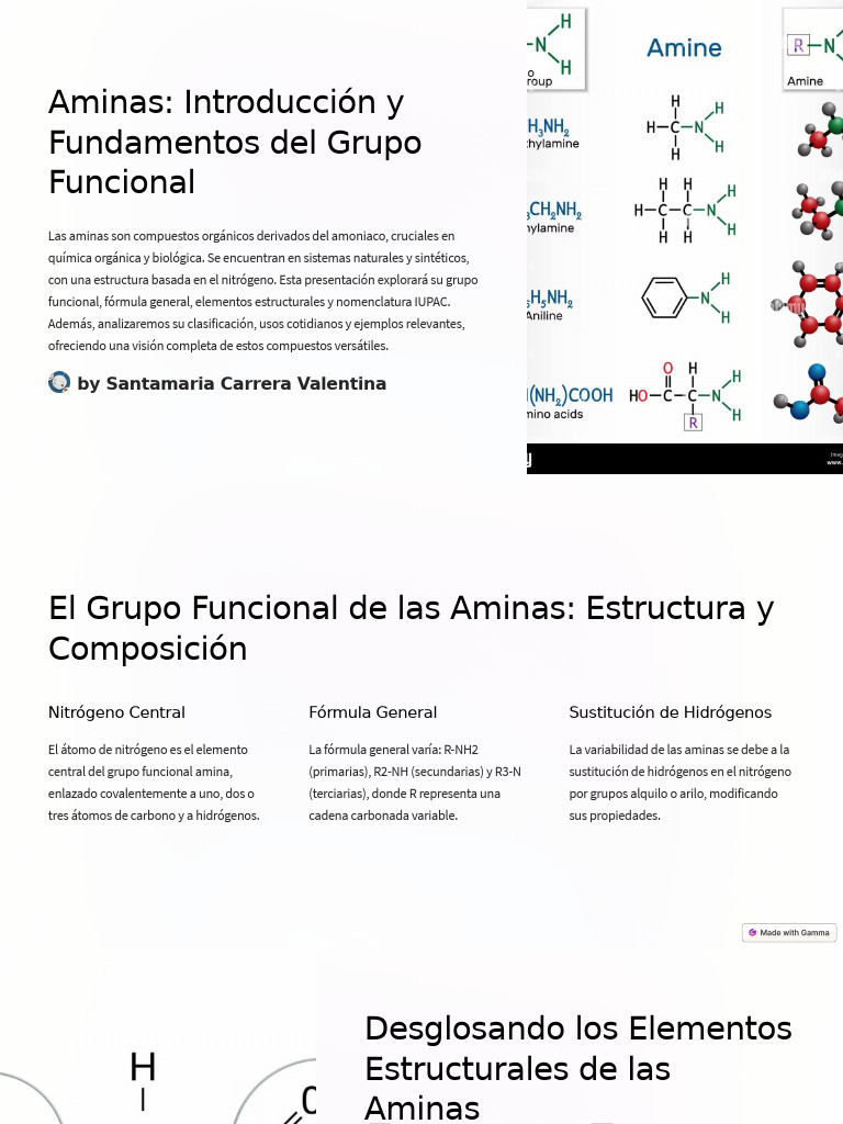Aminas Introduccion Pdf Amina Grupo Funcional