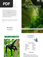 Four Layers of Tropical Rainforest | PDF | Rainforest | Botany