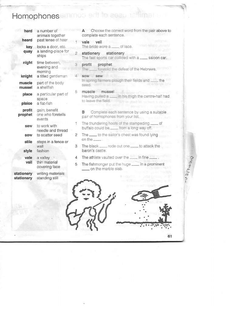 Homophones Worksheet 2 | PDF