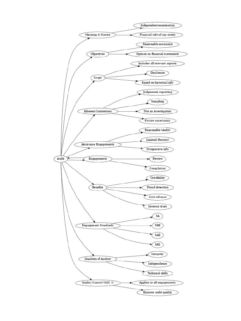 Audit Chapter1 MindMap | PDF