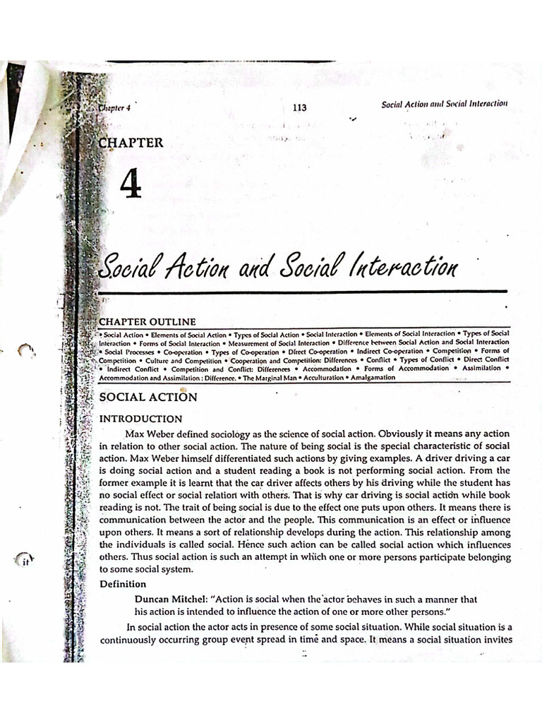 Social Action and Social Interaction | PDF