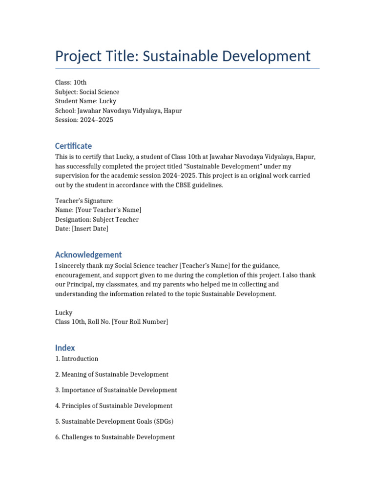 Class 10 Sustainable Development Project | PDF | Sustainability ...