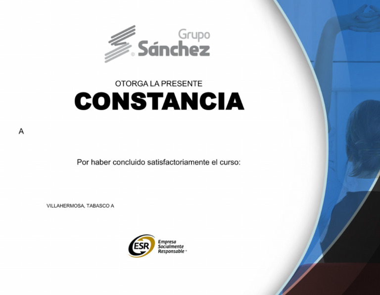 Seguridad y Salud en el Trabajo 2024 | PDF