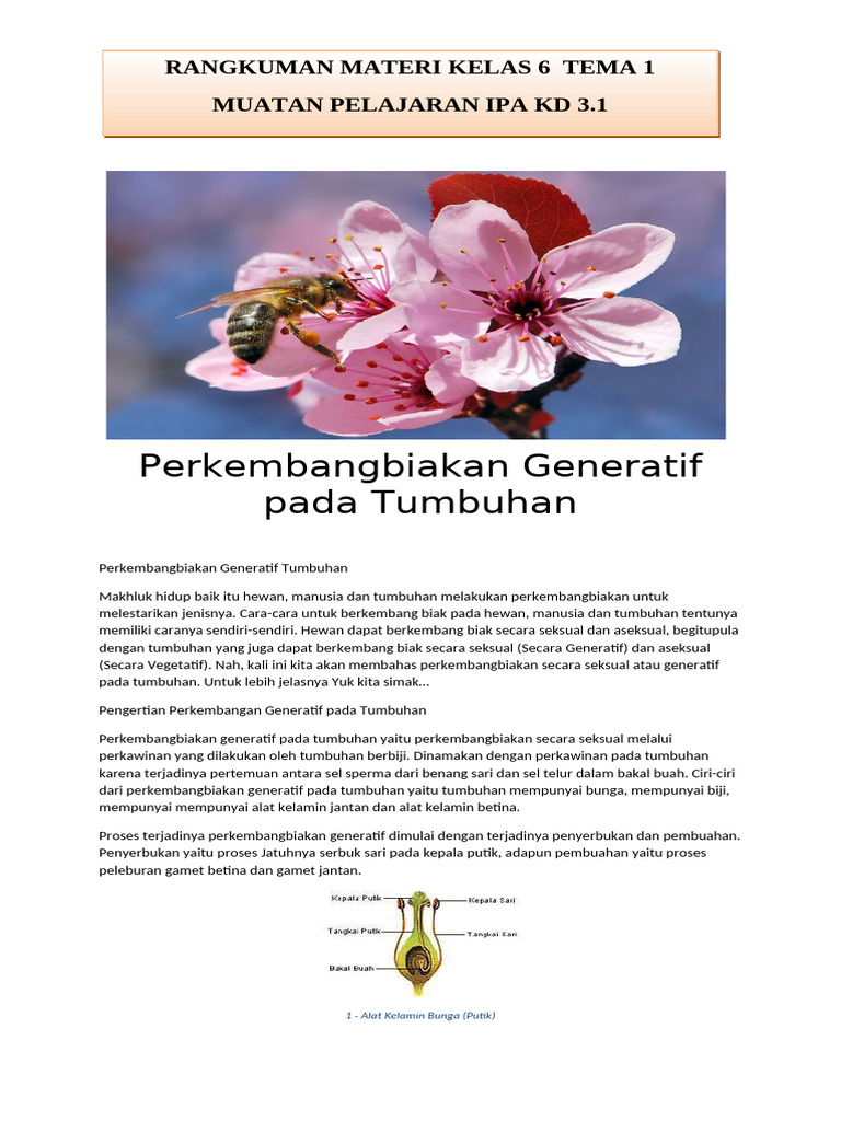 Perkembangbiakan Generatif Pada Tumbuhan | PDF