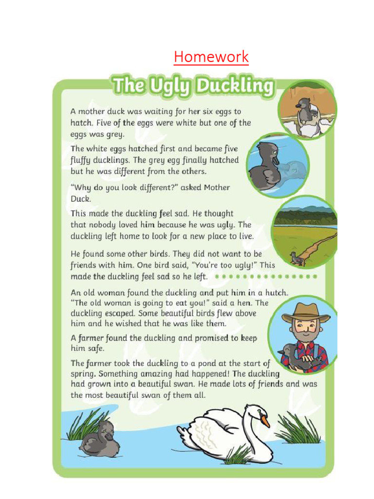 "The Ugly Duckling Homework Questions" | PDF