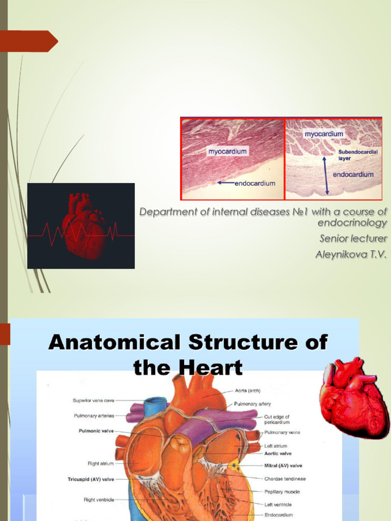Diff.diagn. of the endocardium and myocardium lesions | PDF | Cardiac ...