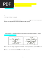 Le Carpelle : Organe des Angiospermes | PDF | Fruit | Embryon