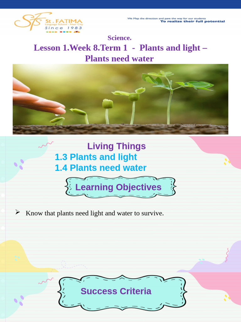 Plants Need Light and Water to Survive | PDF | Plants | Leaf