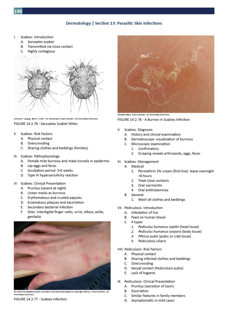 Section 13 - Parasitic Skin Infections | PDF | Medical Specialties