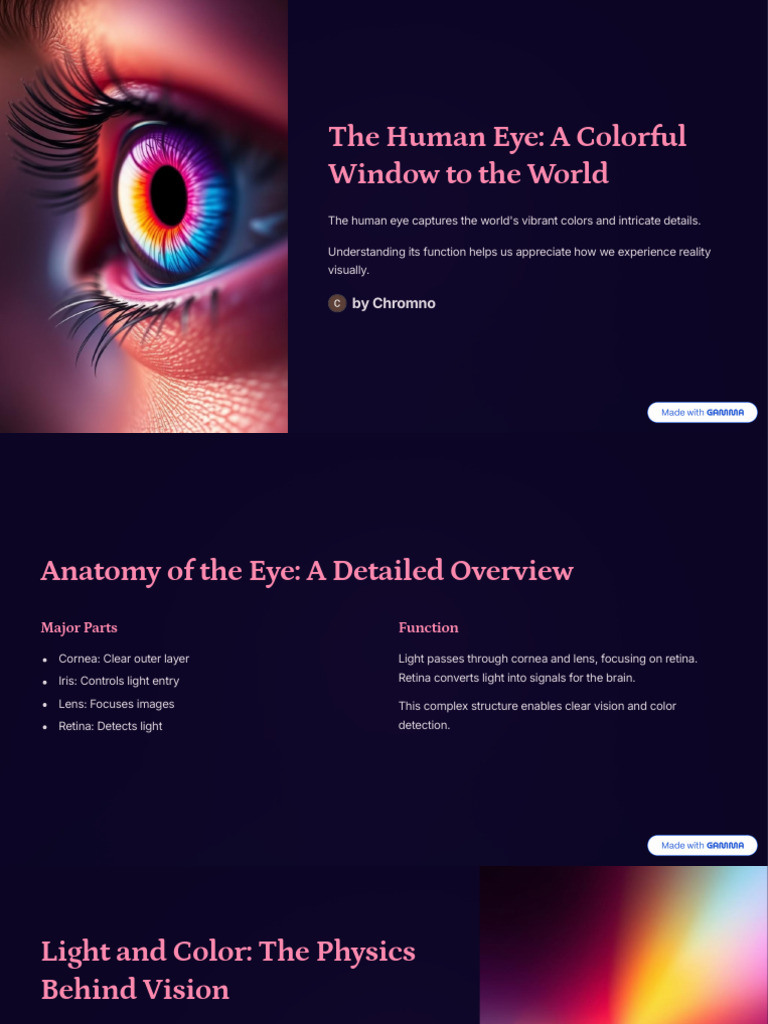 The Human Eye A Colorful Window To The World | PDF | Human Eye | Color