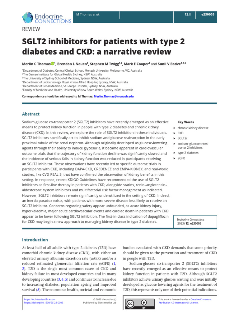 SGLT2 Inhibitors For Patients With Type 2 Diabetes and CKD | PDF ...