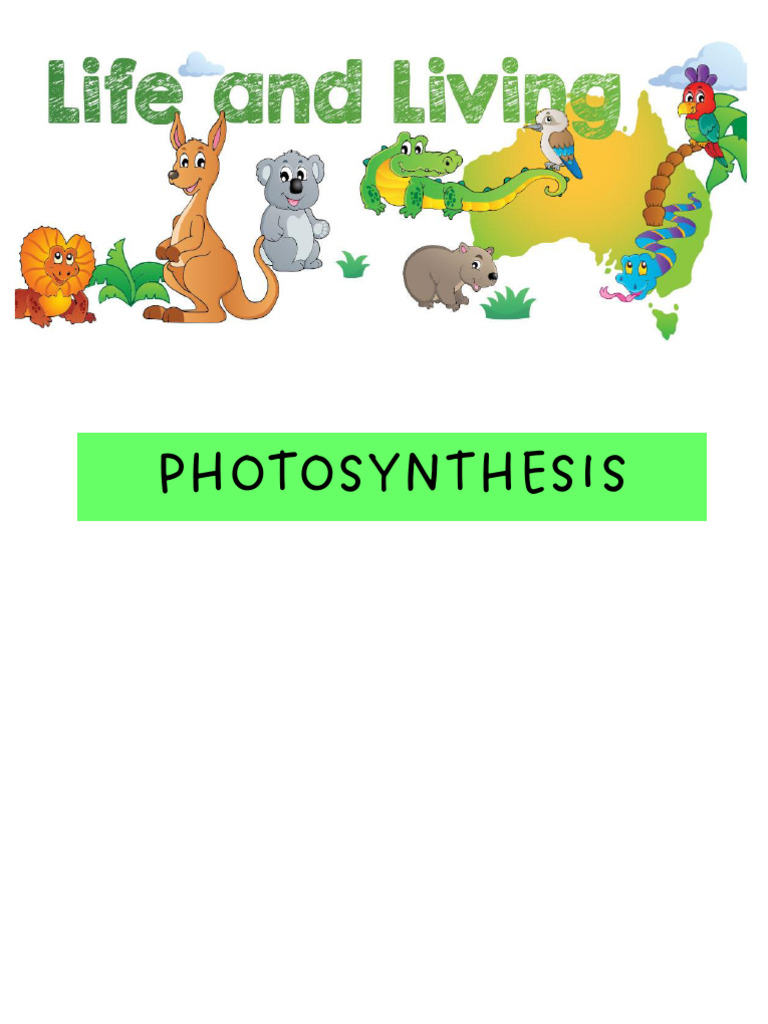 Understanding Photosynthesis Processes | PDF | Leaf | Photosynthesis