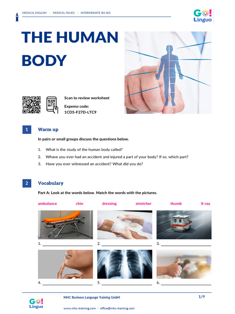 Medical English: Human Body Vocabulary | PDF | Running ...