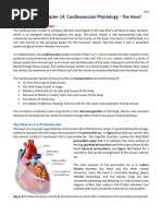 Medbridge Cervical Radiculopathy PT Exercises | PDF | Anatomical Terms ...