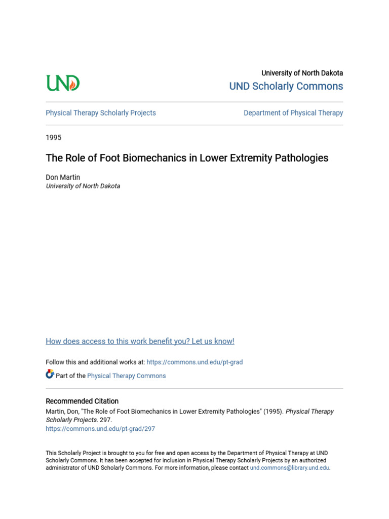 Foot Biomechanics and Injury Analysis | PDF | Foot | Ankle