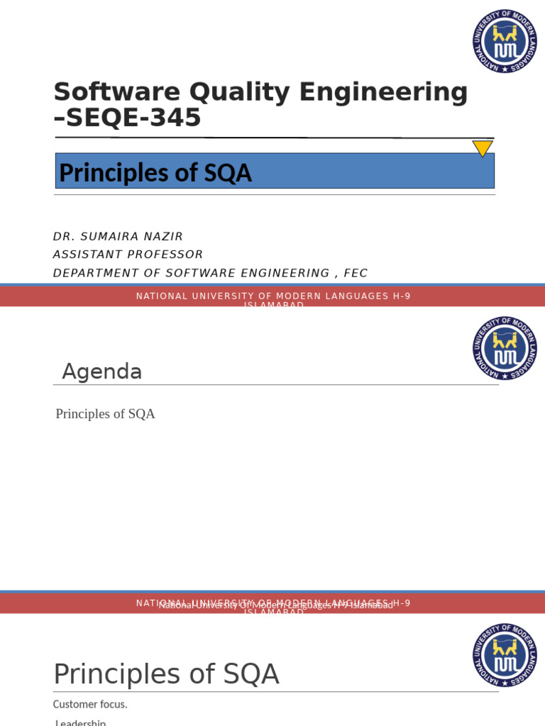 7 - Lecture SQA Principles | PDF | Business