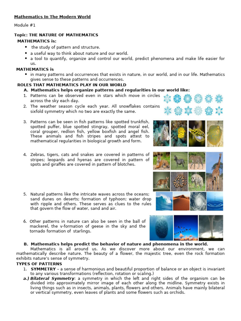Patterns of Mathematics in Nature | PDF | Symmetry | Pattern