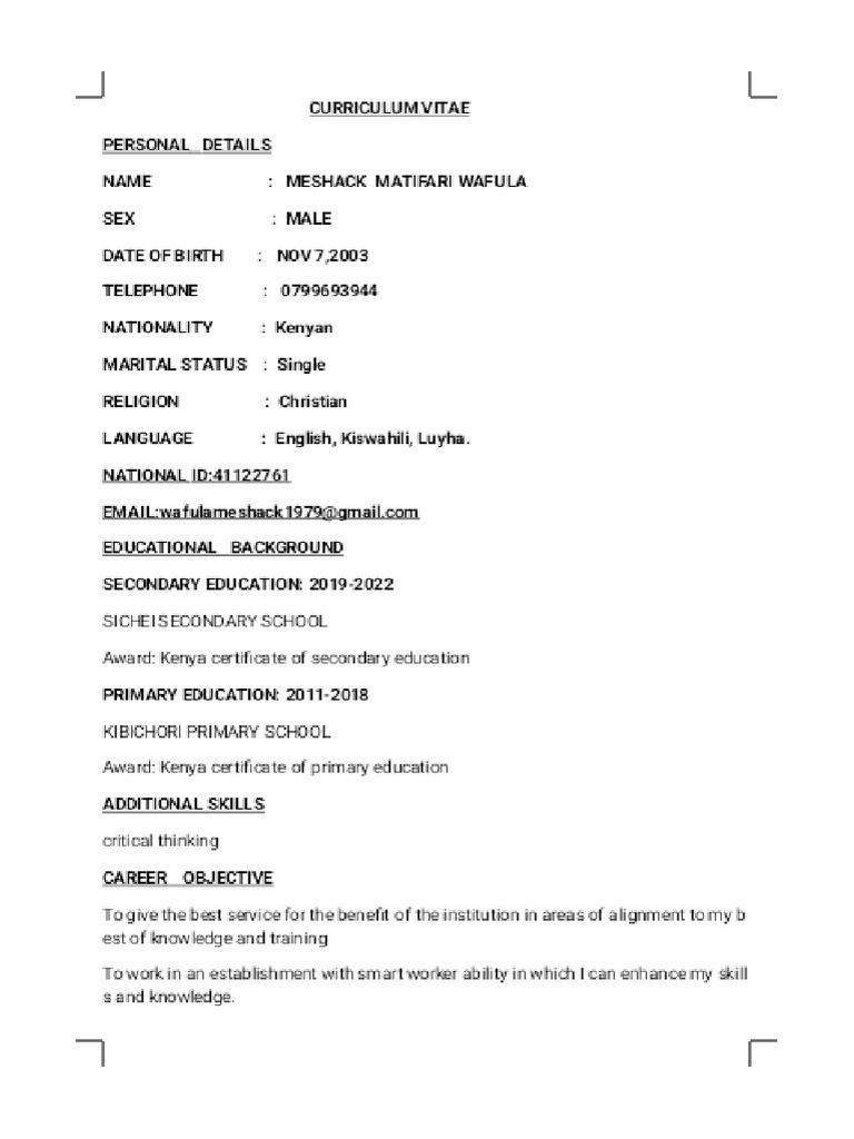 Curriculum Vitae MESHACK - Phoenix | PDF