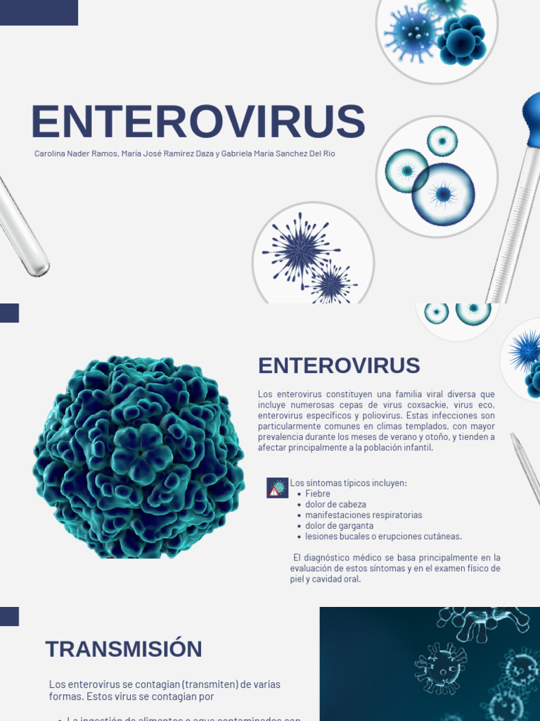 Enterovirus | PDF | Virus | Inmunología