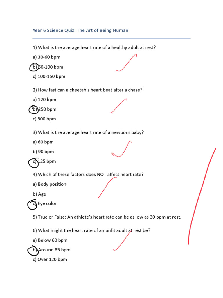 Year 6 Science Heart Rate Quiz | PDF